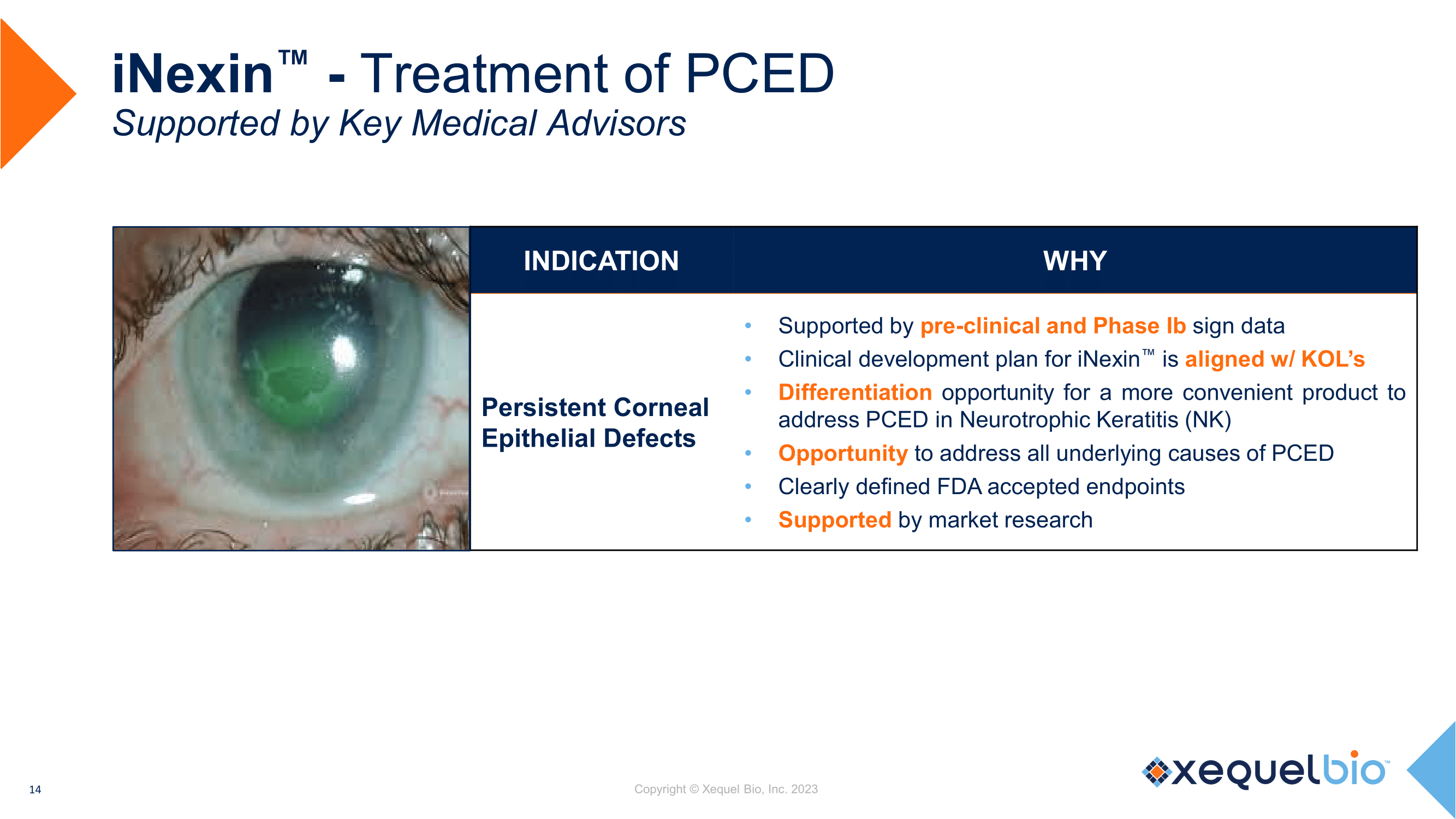 Events & Presentations - Xequel